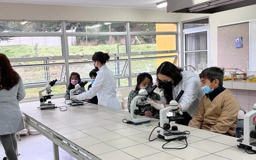 ¡Más sobre entretenidas actividades académicas en el laboratorio de ...